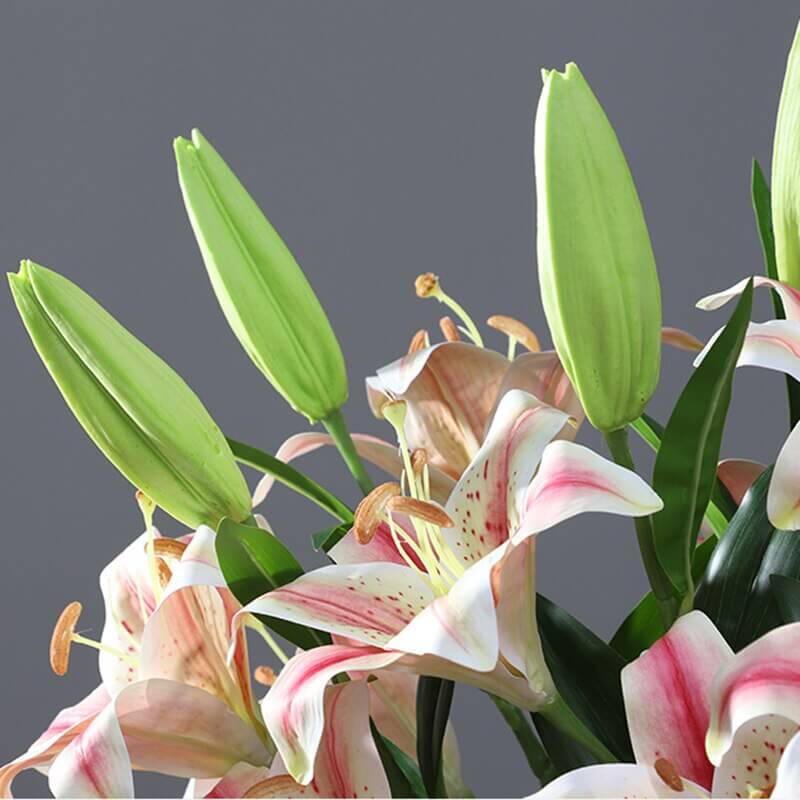 Sự Thật Hay Về Ý Nghĩa Hoa Ly