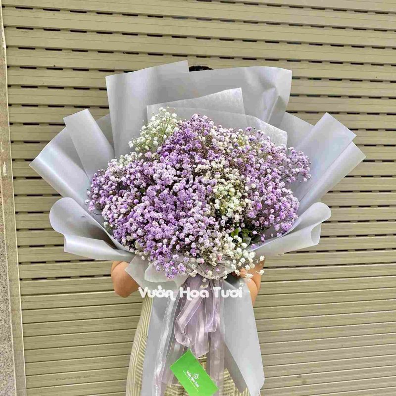 99+ Mẫu Bó Hoa Baby Mới Nhất Từ 250k Xinh Đẹp 2024