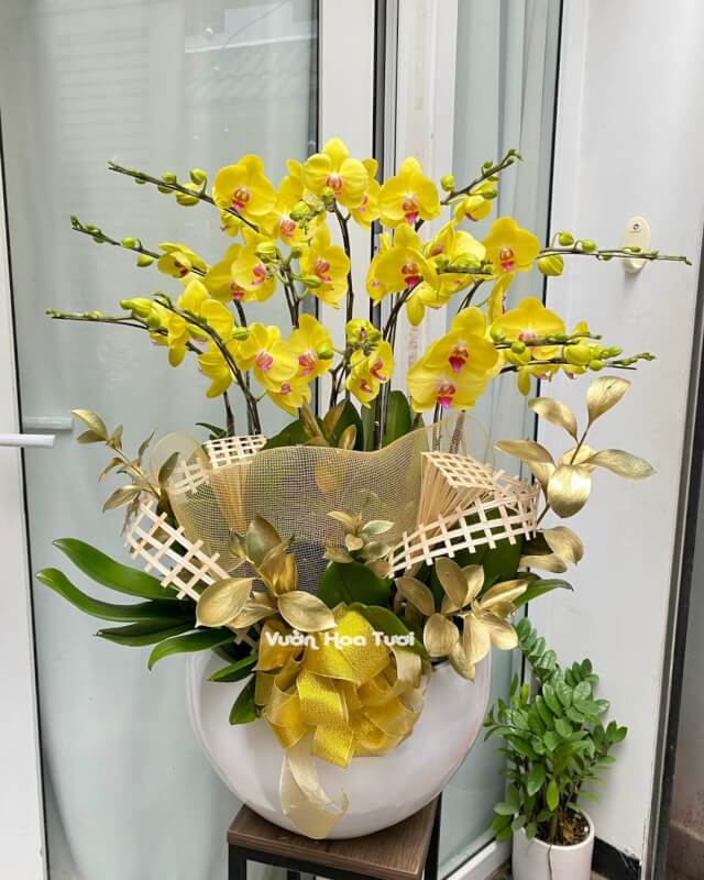 Tham khảo 08 mẫu hoa sinh nhật cho sếp nam ưa chuộng 2024