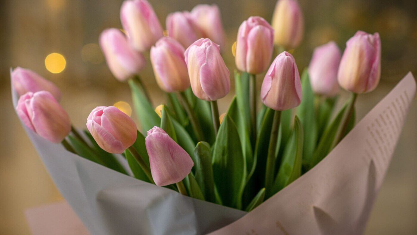 Ý Nghĩa Hoa Tulip Mà Chưa Ai Nói Cho Bạn Biết Trong Tình Yêu: Tình Yêu ...