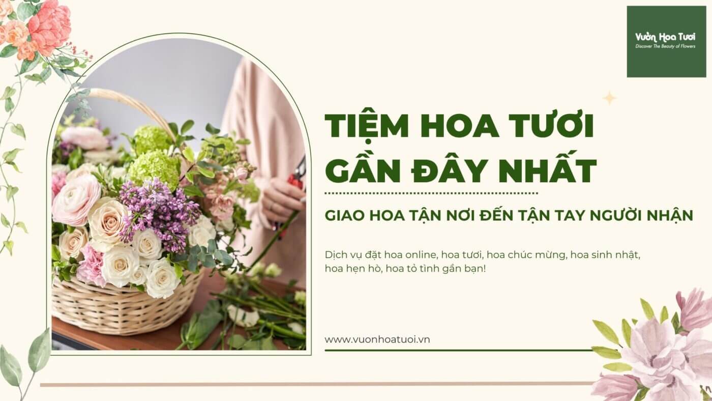 Shop Hoa Tươi Gần Đây Vườn Hoa Tươi Giao Hoa Nhanh