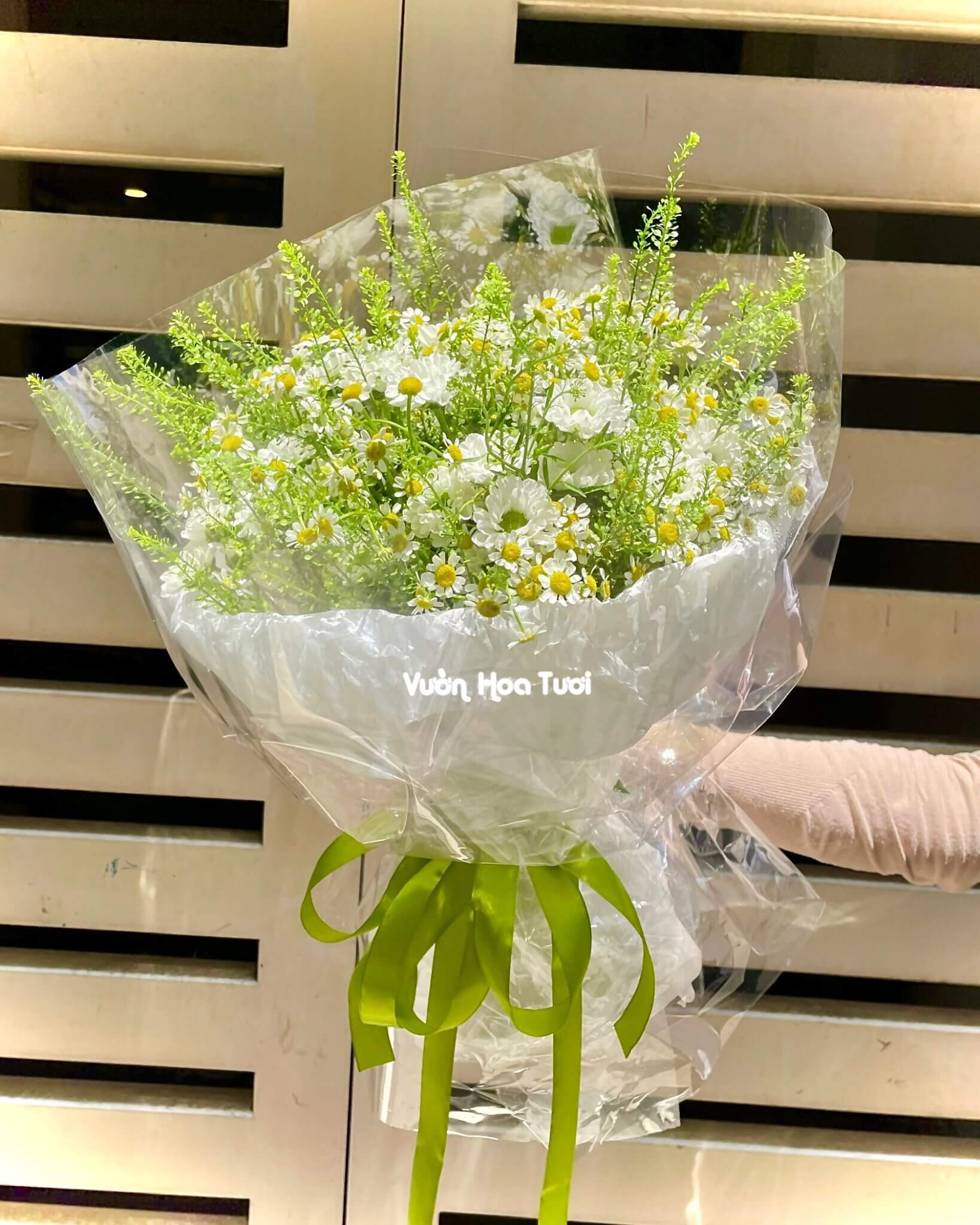 Phiên Bản đặc Biệt Hoa Bó Cúc Tana Daisy Delight 300,000₫