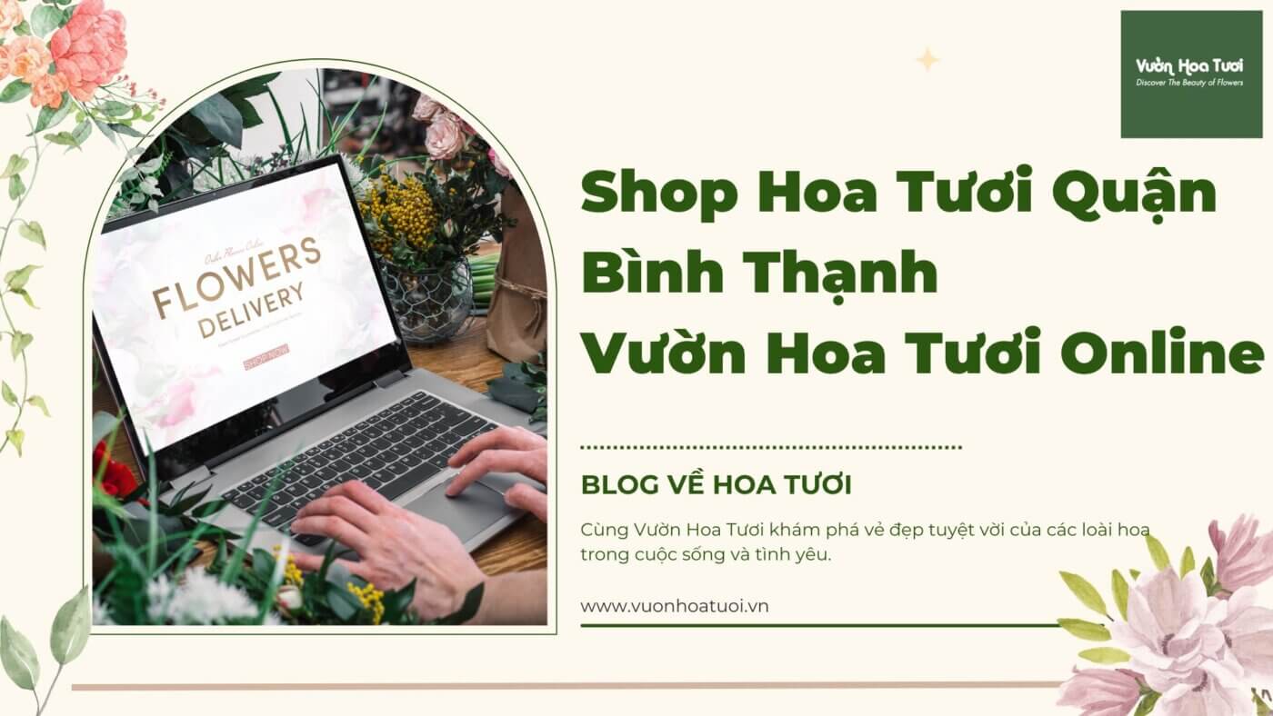 Shop Hoa Tươi Quận Bình Thạnh Vườn Hoa Tươi Giá Rẻ